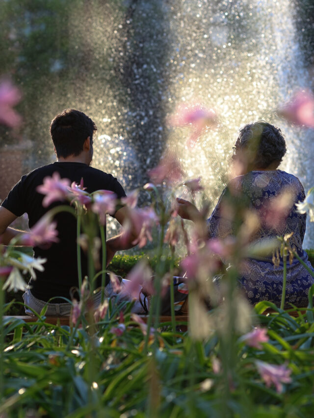 Primavera: entenda suas características e origem do termo - Web Stories ...
